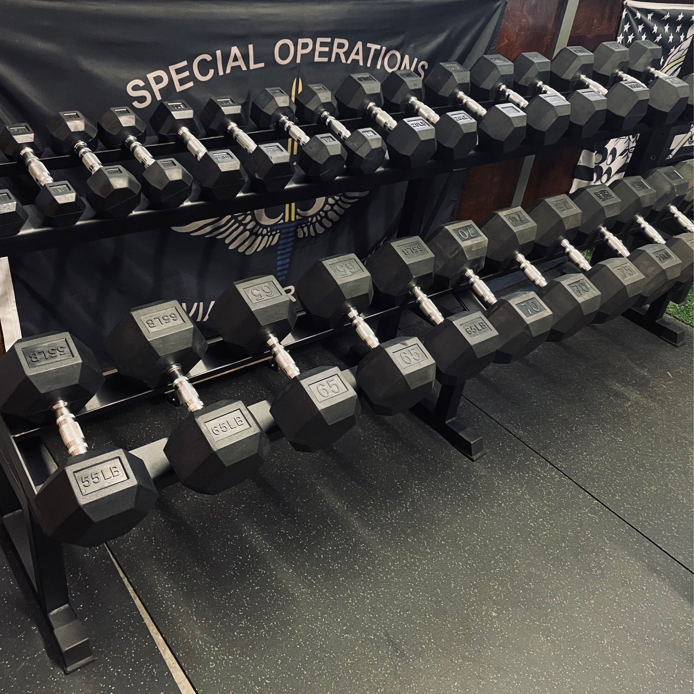 Dumbbell Rack F | Crane Fitness Equipment